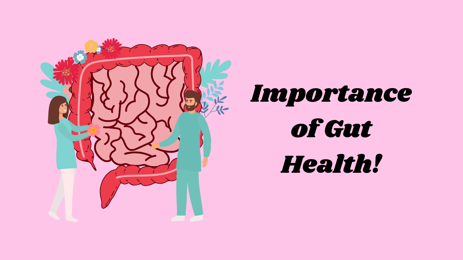 The Importance of Gut Health. - Food Fitness & Fun